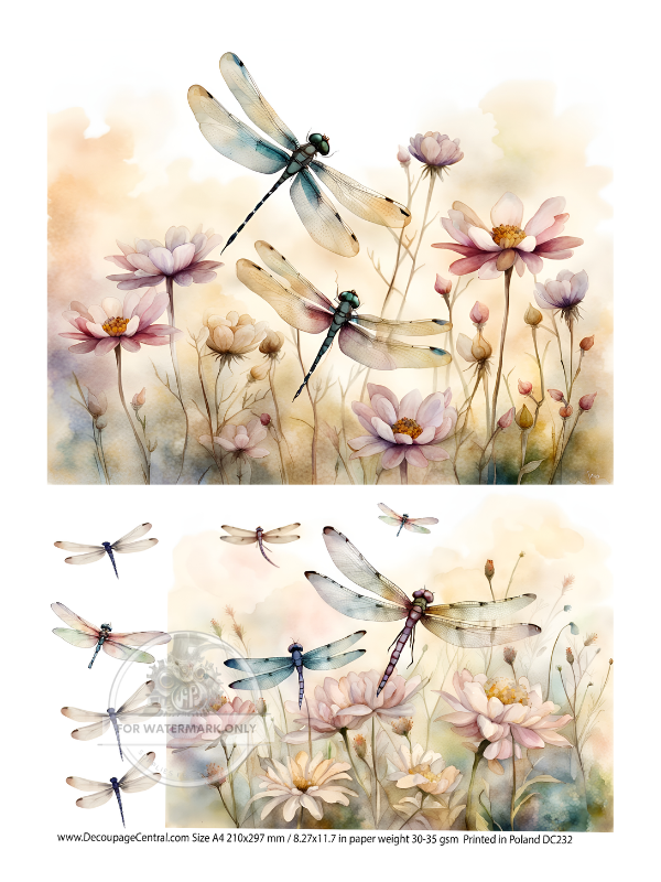 A4 Dragonfly Fields Duo Rice Paper DC232 – Decoupage Central