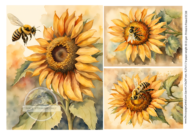 A4 Bee n Sunflowers Rice Paper DC338 – Decoupage Central