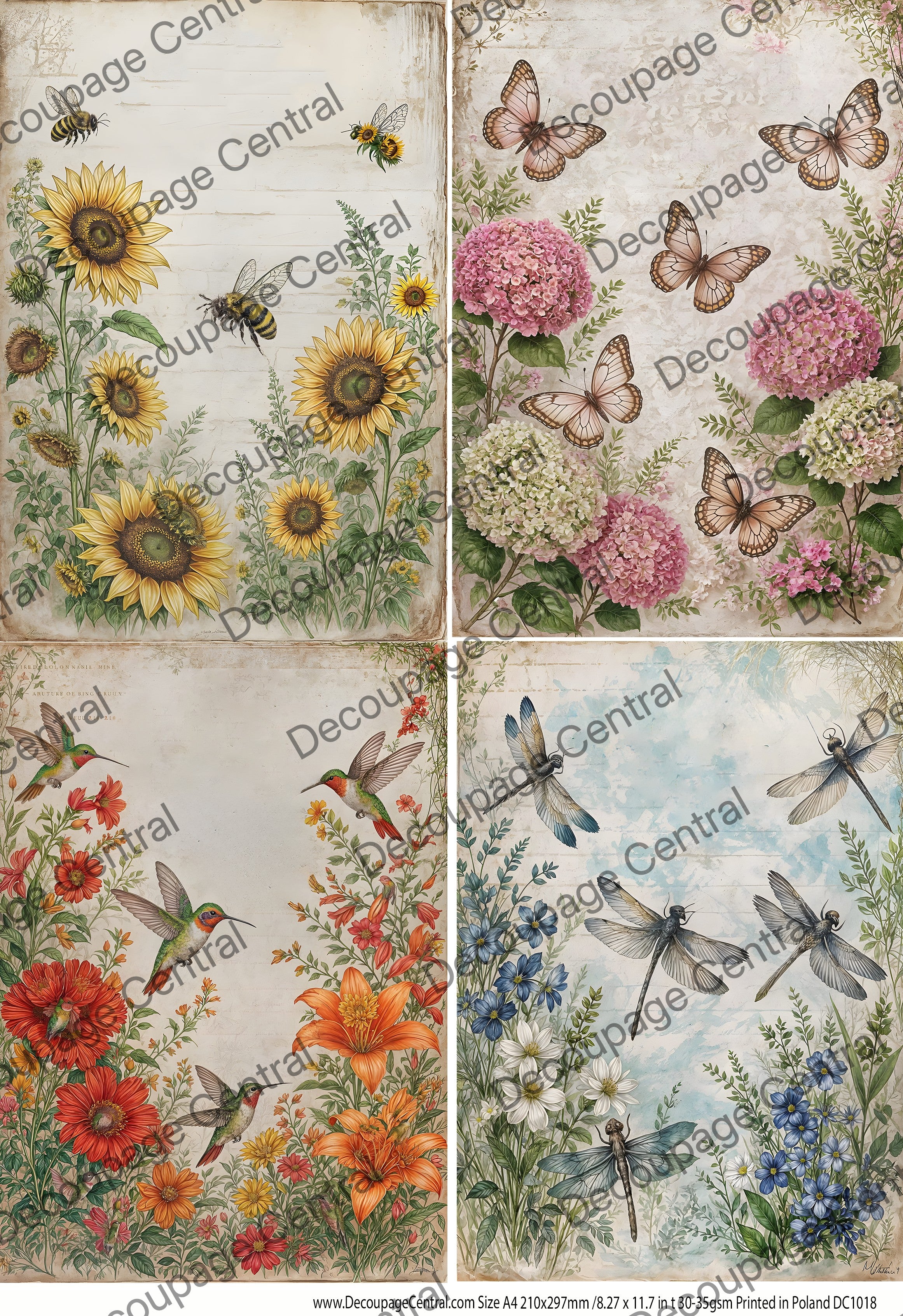 A4 Garden Wings Collection Rice Paper DC1018 – Decoupage Central